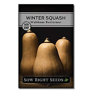 Sow Right Seeds - Squash Seed Collection for Planting - Individual Packets Straightneck Summer, Yellow Scallop, Round Zucchini, Waltham Butternut and Spaghetti Squash, Non-GMO Heirloom Seeds