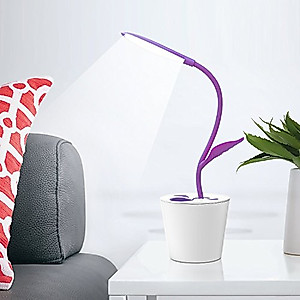 iEGrow Kids Desk Lamp for Rooms, Cute Desk Lamp USB Charging Desk Lamp with Pen Holder for Home Study ( Purple )