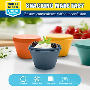 Teivio 12 Pack Reusable Wheat Straw Salad Dressing Containers To Go, 2oz Small Plastic Condiment Container with Lid, Snack Container Dipping Sauce Cups for Lunch Box Picnic Travel, Autumn Multicolo