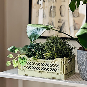 AYKASA Collapsible Storage Bins, Plastic Crate for Storage, Collapsible Crate, Utility Stackable Box