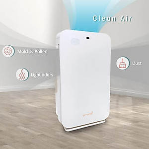 Oransi OV200 Air Purifier for Home, Bedrooms, Offices and Large Rooms, HEPA Carbon Filter, Covers up to 400 Square Feet