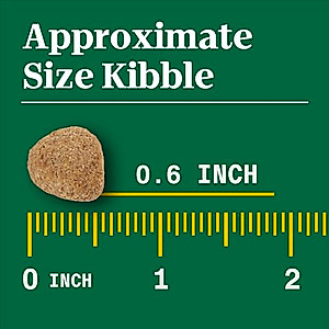 Nutro Natural Choice Adult Healthy Weight Dry Dog Food, Lamb and Brown Rice Recipe, 30 lbs.