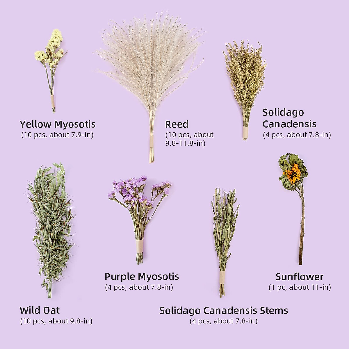 Niteangel Natural Flower & Herb Bedding Habitat Decor - for Hamsters Gerbils Mice Lemming Degus or Other Small Pets (Harvest Wind - Flower Version)