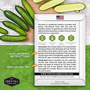 Survival Garden Seeds - Muncher Cucumber Seed for Planting - Packet with Instructions to Plant and Grow Delicious Burpless Slicing Cucumbers in Your Home Vegetable Garden - Non-GMO Heirloom Variety