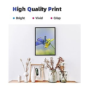 LC3011 Ink Cartridges BK/C/M/Y 2-Set Replacemnt for Brother Ink LC3011 LC3013 LC3011BK LC3013BK use with Brother MFC-J491DW MFC-J895DW MFC-J690DW MFC-J497DW Printer (2BK/2C/2M/2Y 8-Pack)
