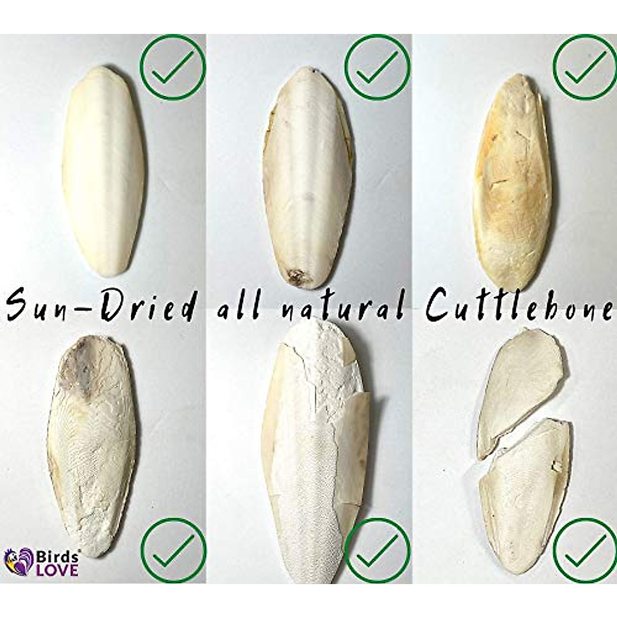 Birds LOVE Natural Cuttlebone – Premium Calcium & Trace Mineral Supplement for Avian Species, Tortoises, and Snails – Pure Cuttlebone for Parakeets, Cockatiels and All Birds | 4-Pack - Size 3.5 to 4"