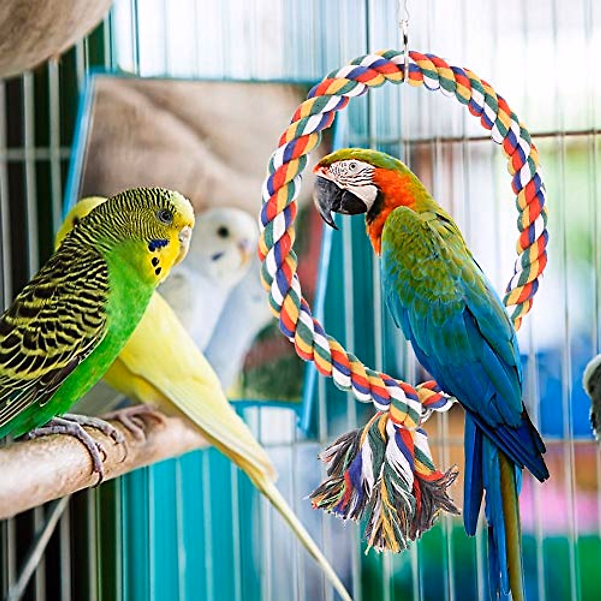 Bird Rope Toy，Round Circle Rings Colorful Cotton Rope Swing Toy Pet Bird Standing Playing Chewing Perches Loop for Parrot Parakeet Bungee Canary Cockatiel Lovebirds