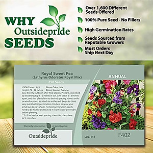 Outsidepride Fragrant Annual Lathyrus Odoratus Sweet Peas Royal Mix Climbing, Vining, Trailing Cut Flowers - 250 Seeds