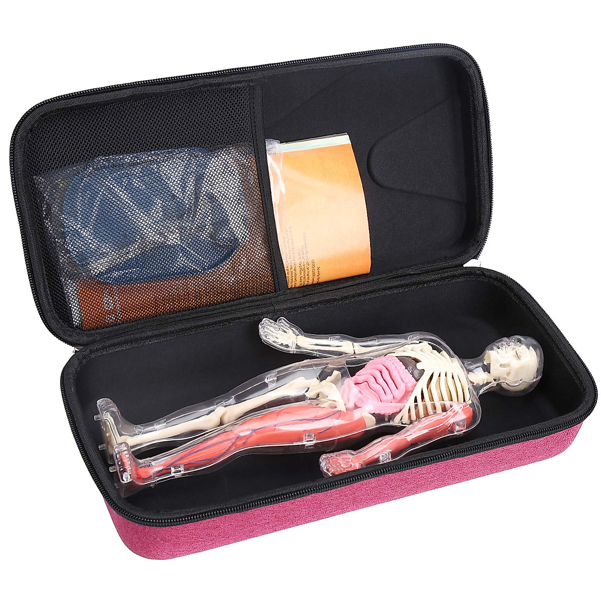 Aproca Hard Storage Travel Carrying Case for SmartLab Toys Squishy Human Body (Red)