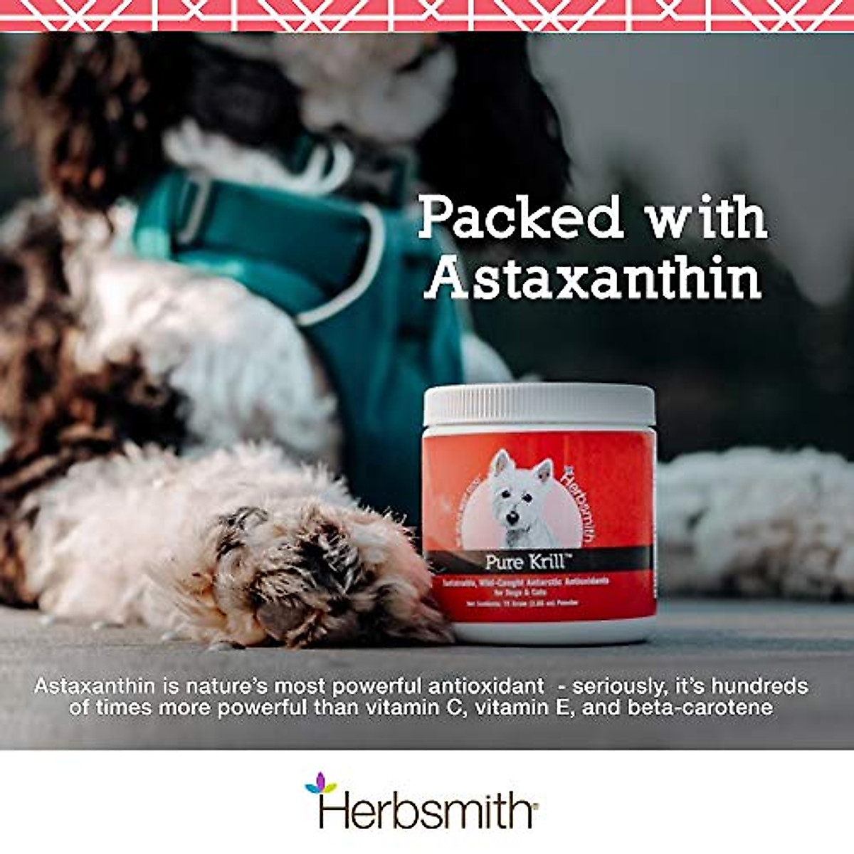 Herbsmith Pure Krill - Wild-Caught Antarctic Krill - Just 1 Ingredient - Astaxanthin for Dogs - Ready-to-Use Omega 3s – Alternative to Krill Oil for Dogs - 75g