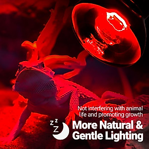 REPTI ZOO Reptile 50W Infrared Heat Lamp Bulb,2 Pack Infrared Basking Spot Light for Reptiles & Amphibian,Bearded Dragon,Leopard Gecko,Turtle,Lizard,Chickens | Pet Brooders Night Heat Lamp