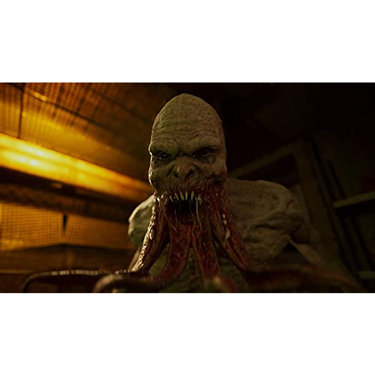 S.T.A.L.K.E.R. 2: Heart of Chornobyl - Xbox Series X