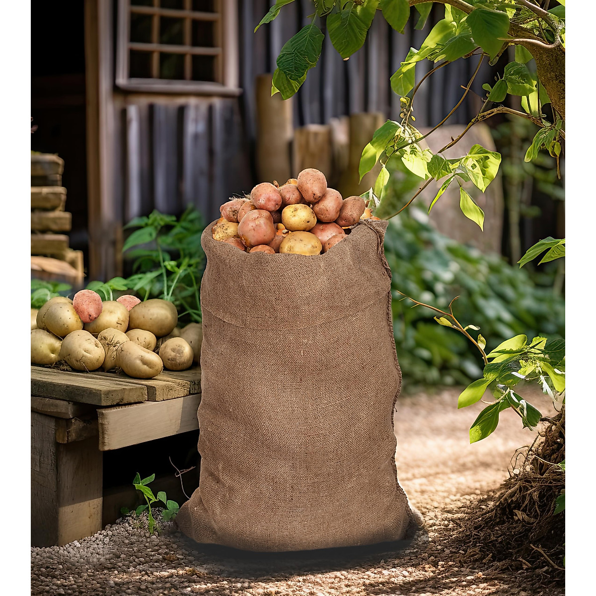 COTTON CRAFT Burlap Potato Sack Bag - Set of 4 Jute Potato Sack Race Bags - Large 24x39 Adult & Kids Sturdy Easter Outdoor Games Birthday Block Party Toy Storage