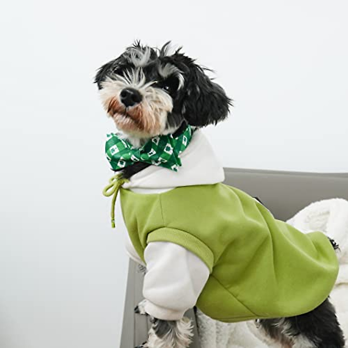 MACA Bates St. Patrick's Day Dog Collar with Bow/Flower/Bow tie, Clover Adjustable Collar for Small Medium Large Dog with Metal Buckle