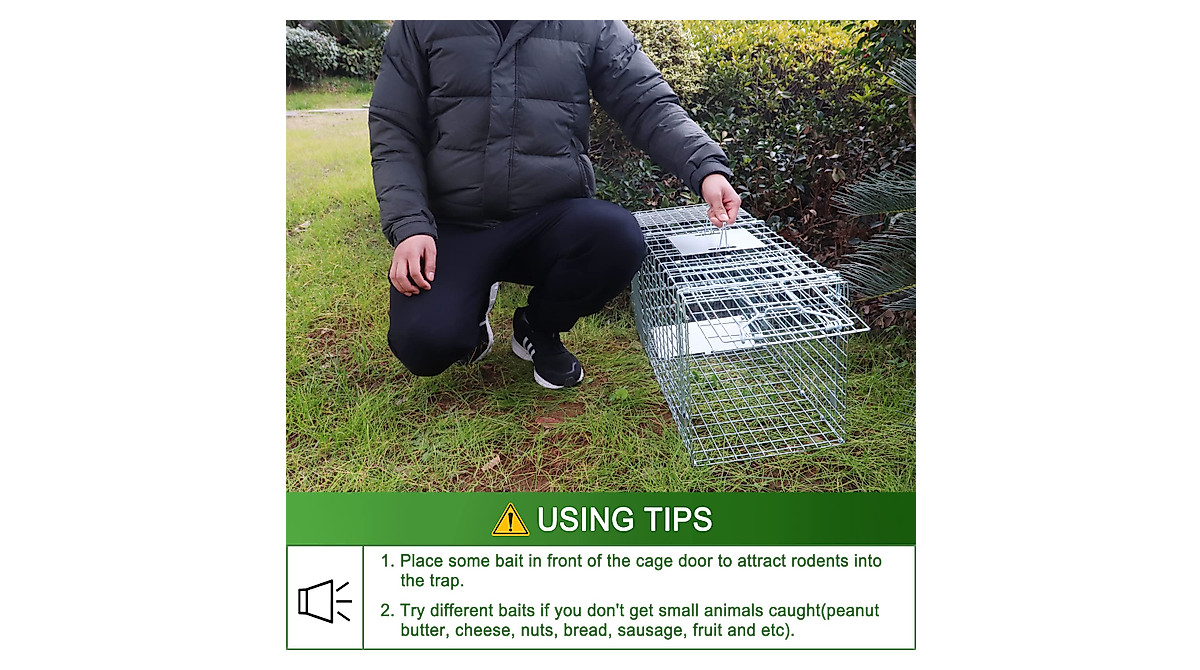 Live Animal Trap for Possum, Groundhog,Gopher,Beaver,Folding Raccoon ...