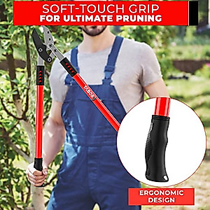 TABOR TOOLS GG12A Anvil Lopper with Compound Action, 30 Inch Tree Trimmer, Branch Cutter with ⌀ 2 Inch Cutting Capacity, Chops Thick Branches with Ease.