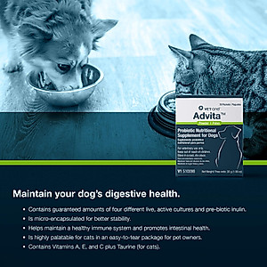 Vet One Advita™ Probiotic Powder for Dogs, a Daily Nutritional Supplement to Maintain Immune System, Appetite, & Digestion in 30, 1g Packets (3-Pack)