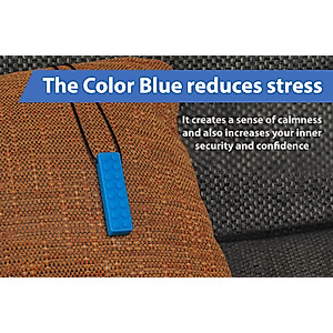 Tilcare Chew Chew Sensory Necklace – Best for Kids or Adults That Like Biting or Have Autism – Perfectly Textured Silicone Chewy Toys - Chewing Pendant for Boys & Girls - Chew Necklaces (6-Pack)