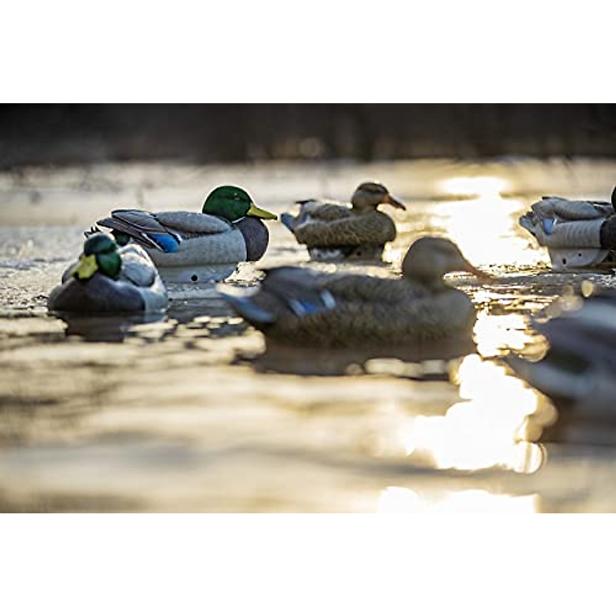 Lifetime Decoys HydroFoam Flocked Mallard 6 Pack - Light as a feather - Lasts forever