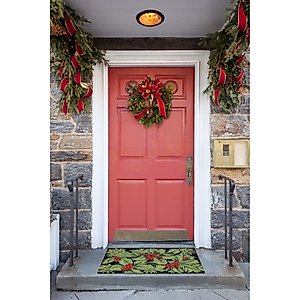 Liora Manne Holly Berries Indoor/Outdoor Rug, 2' X 3', Black