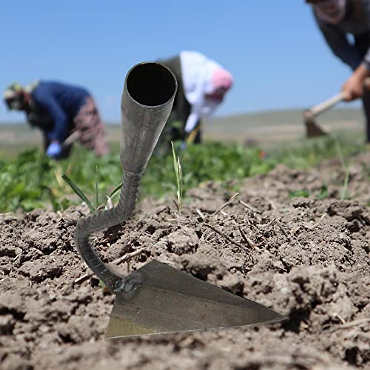 Hardened Garden Swoe Hoe Head Only Forging Process Durable Traditional for Backyard Planting Farming Gardening Loosening