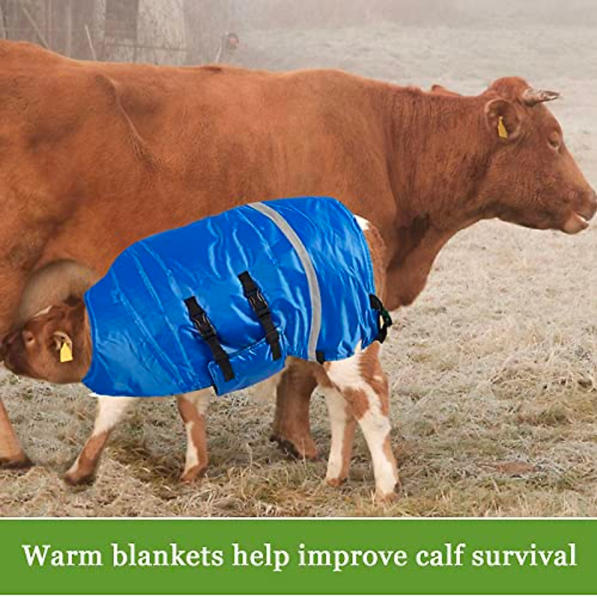 2 Packs Calf Blanket Livestock, Calf Blanket for Cold Weather Windproof and Waterproof, Calf Blanket Winter for Keeping Cow Warmming Thickened Belly Protection Blue