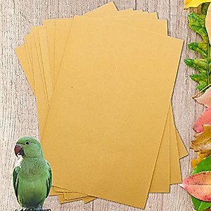 FIZMU Bird Cage Liner for Bird Cage in Sea Sand,Gravel Paper for Bird Cage 11 x 17 inch, Bird Cage Paper Liners Cage Liner,Birdcage Paper for Hard Beak Cleaning, Safe and Easy to Digest