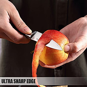 PICKWILL Paring Knife, 3.5 Inch Small Kitchen Knife, 5Cr15Mov High Carbon Stainless Steel Fruit Knife with Ergonomic Full Tang Handle, Ultra Sharp