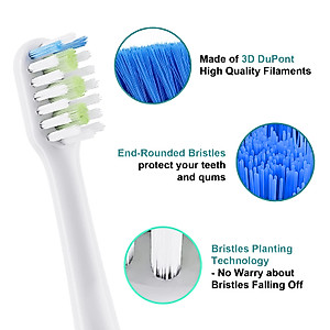 Water Flosser and Ultrasonic Electric Toothbrush Combo + 4 Pack Replacement Toothbrush Heads Compatible with ANWIEL