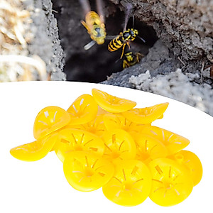 Mwrode 30Pcs Hornets Traps Bee Traps in Flower Shaped Reusable Bee Catcher Funnel Garden Beekeeping Accessory Tools Wasp Funnel