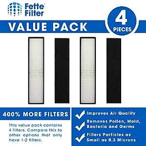 FLT4825 True HEPA H13 Filter B Compatible with GermGuardian Air Purifier AC4300BPTCA AC4900CA AC4820 AC4825 AC4870 AC4825DLX AC4850PT CDAP4500BCA CDAP4500WCA AP2200CA BLACK+DECKER BXAP148. 2-Pack