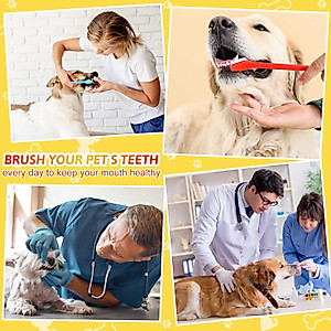 300 Pcs Pet Toothbrush Bulk Dog Double Sided Brushes Puppy Tooth Brushing Kit Soft Bristles Long Handle Dog Tooth Brush for Small Dog Cat Puppy Teeth Cleaning Oral Dental Care Supplies (10 Colors)