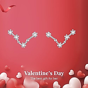 BriLove 925 Sterling Silver Ear Crawler Post Earrings Pisces 12 Zodiac Constellation Horoscope Astrology CZ Stud Earrings Gift for Women Valentines Day/Anniversary/Mothers Day/Birthday