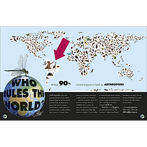 Everything You Need to Know About Bugs