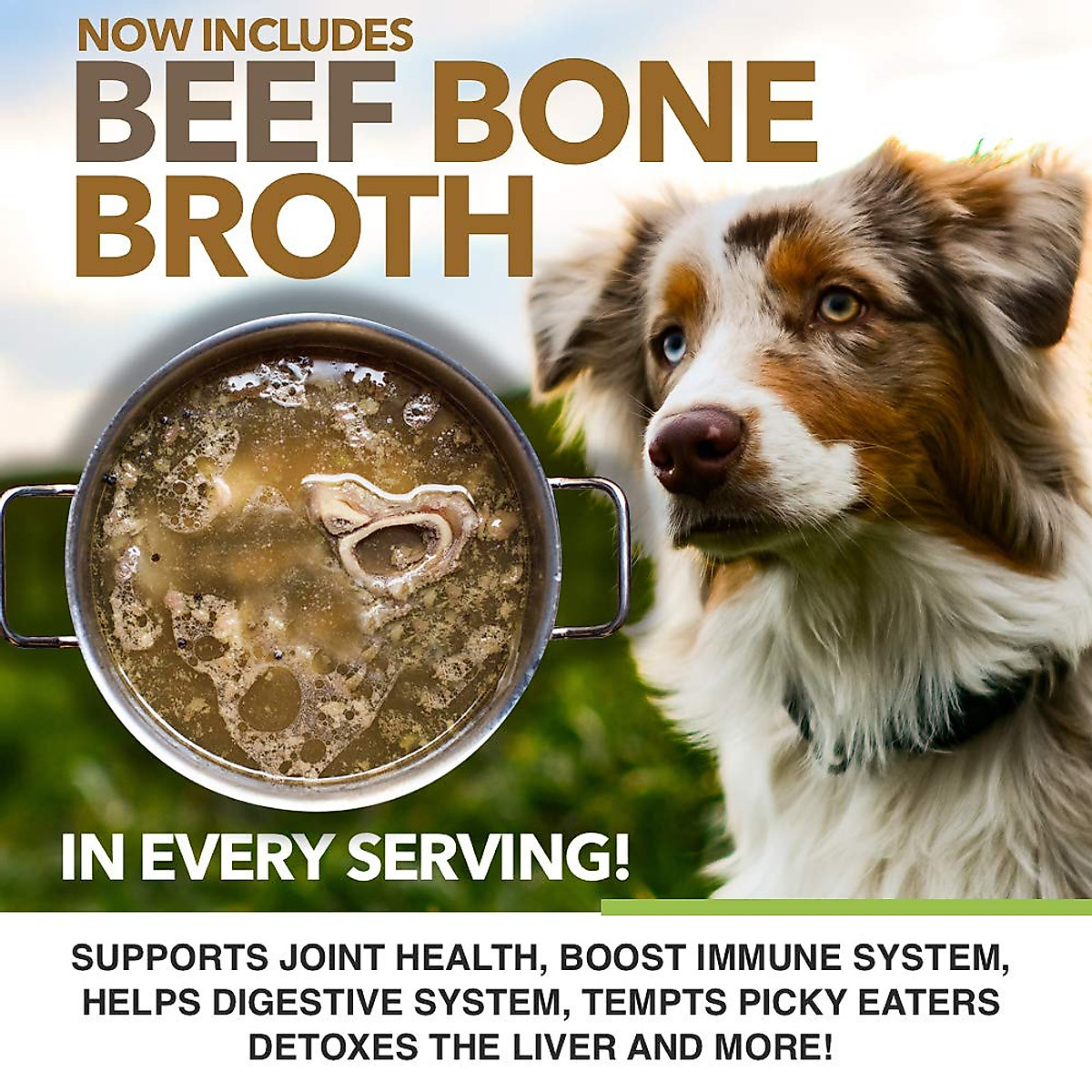 Earth Vet Super Immunity + for Dogs - Contains Organic Spirulina, Organic Chlorella, Organic Turmeric and Reishi Mushroom (60 Servings)