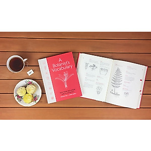 A Botanist's Vocabulary: 1300 Terms Explained and Illustrated (Science for Gardeners)