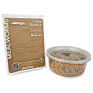 Josh's Frogs Mealworms (1000 Count)