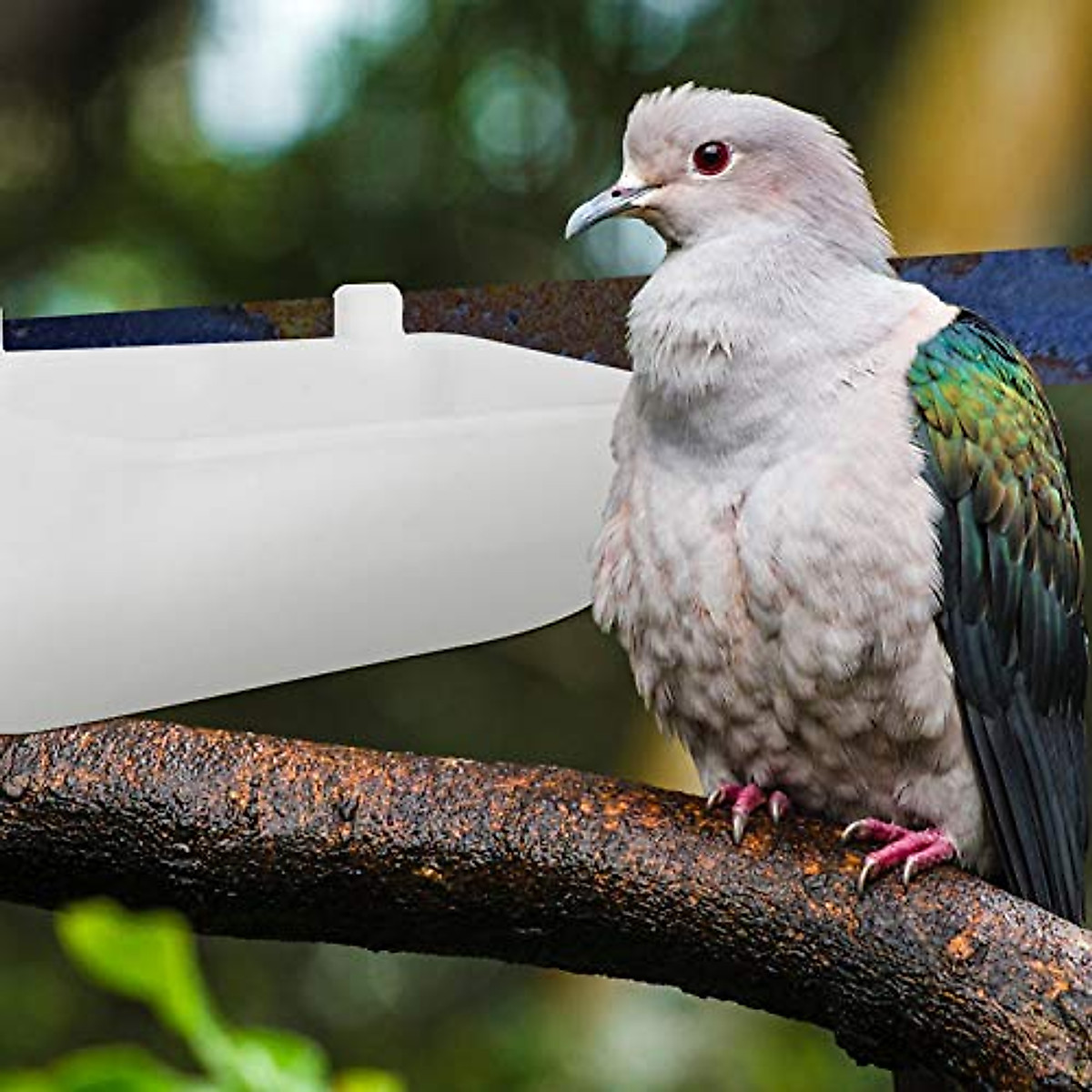 Hemoton 5PCS Bird Feeder Bird Food Feeding Cup Pet Bird Waterer Plastic Water Feeder Hanging Bowl for Poultry Parrot Pigeon Cage