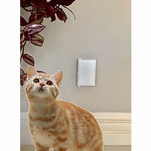 Child Be Safe, Baby Toddler Pet Resistant Electrical Safety Cover Guard for Home and Business, Made in USA, Compatible with Decora Leviton Legrand, Modern Wide Outlet Switch (1 Count, White)