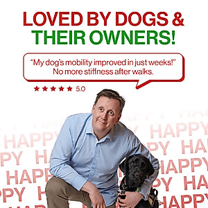 green paws Joint Health Supplement for Dogs - with Glucosamine, Chondroitin, MSM, and Omega-3's, Infused with Turmeric 120 Soft Chews- Advanced Mobility Chews - Joint Pain Relief - Hip & Joint Care