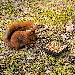 2 Pieces 7 x 7 x 2.7 Inch Metal Ground Bird Feeder Compact Platform Bird Seed Tray and 4 Pieces Elastic Rope for Outdoor Dove Birds or Squirrels Garden Decoration (Black)