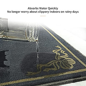 ALLEVI Custom Rugs with Logo Shag Commercial Rugs Mats Carpets for Entryway Personalized Large Business Runner Welcome Indoor-Outdoor Area Rugs Washable Floor Door Mat Home Office Hotel Restaurant 4x6