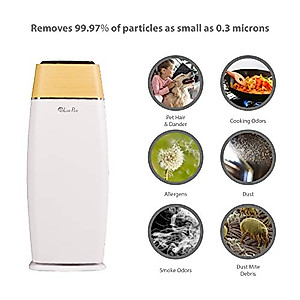 LivePure LP260TH-W Sierra Series True HEPA Digital Tall Tower Air Purifier for Home Captures Allergens, Smoke, Pollen, Mold, Dust Mites, Pet Hair, Energy Star Certified, Teak/Pearl White