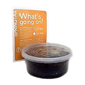 Josh's Frogs Temperate Springtail (Collembola) 8 oz Culture