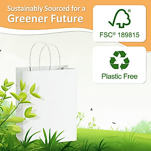 BagDream Paper Bags 10x5x13 50Pcs White Kraft Paper Gift Bags, Shopping Bags, Merchandise Bags, Retail Bags, Party Favor Bags, Gift Bags with Handles Bulk, 100% Recyclable Paper Bags