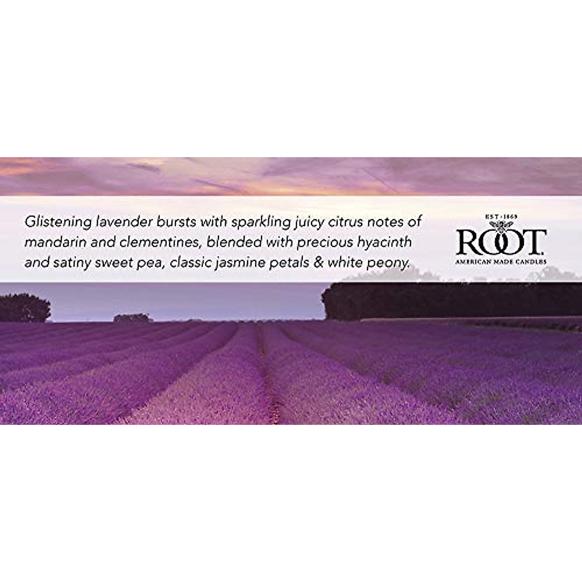 Root Candles Scented Candles Honeycomb Glass Premium Handcrafted Beeswax Blend 3-Wick Candle, 12-Ounce, Lavender Vanilla