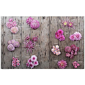 Floret Farm’s A Year in Flowers: Designing Gorgeous Arrangements for Every Season (Floret Farms x Chronicle Books)