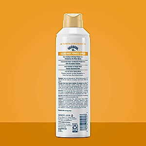 Gold Bond No Mess Clear Invisible Body Powder Spray, 7 oz., Absorbs Odor-Causing Sweat