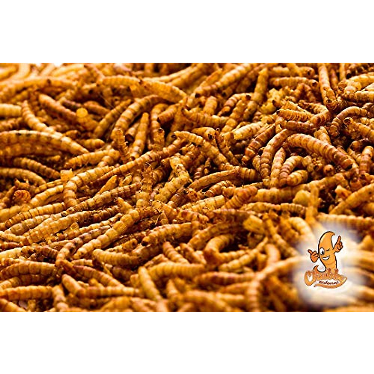 11lb Chubby Mealworms Bulk Dried Mealworms High Protein Treat for Chickens, Ducks, Birds and Much More