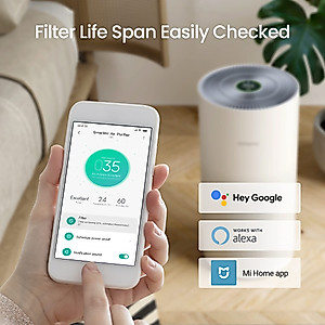 Smartmi Filter Replacement - H13 True HEPA Filter, Activated Carbon and Preliminary Filters - Absorbs Odors, Smog, and Smoke at Home, Office
